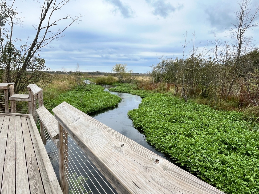 Arcadia Marsh Nature Preserve: A Must-See Stop on M-22 - Katelynn Out Loud